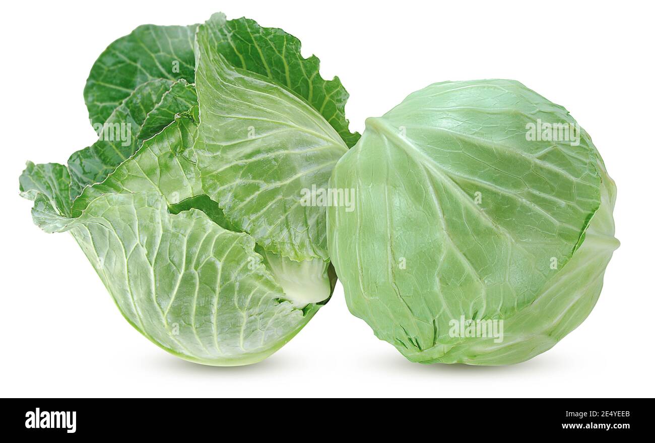 Cabbage isolated on white background Stock Photo - Alamy