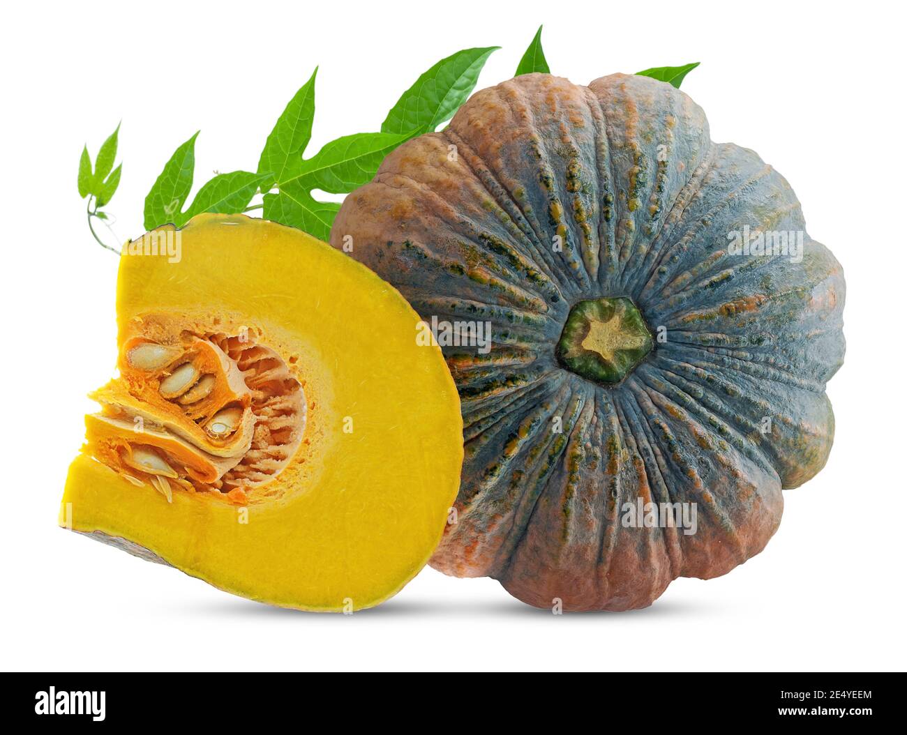 Pumpkin isolated on white background Stock Photo - Alamy