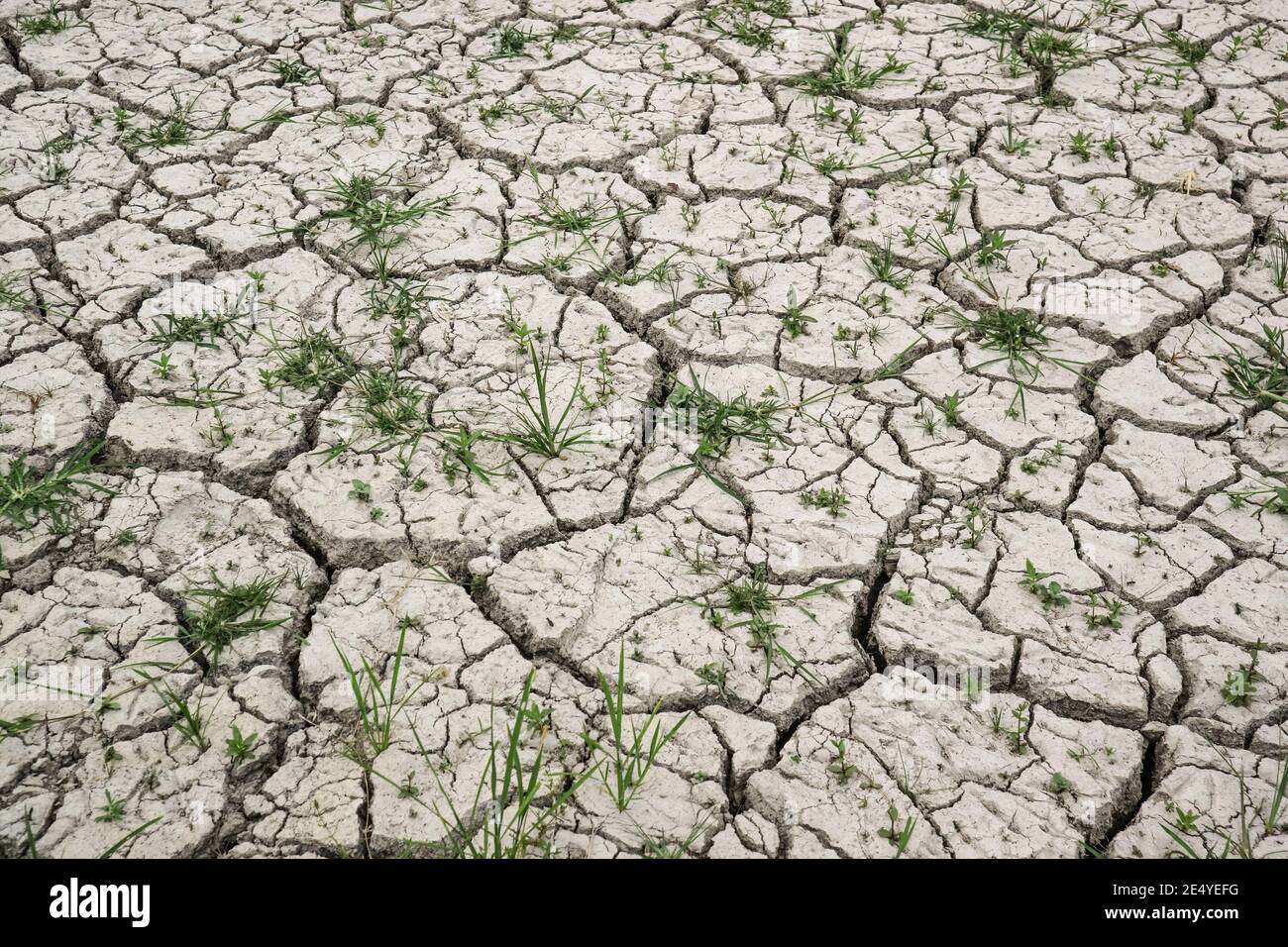 Closeup of dry soil with grass. Cracked ground background Stock Photo ...