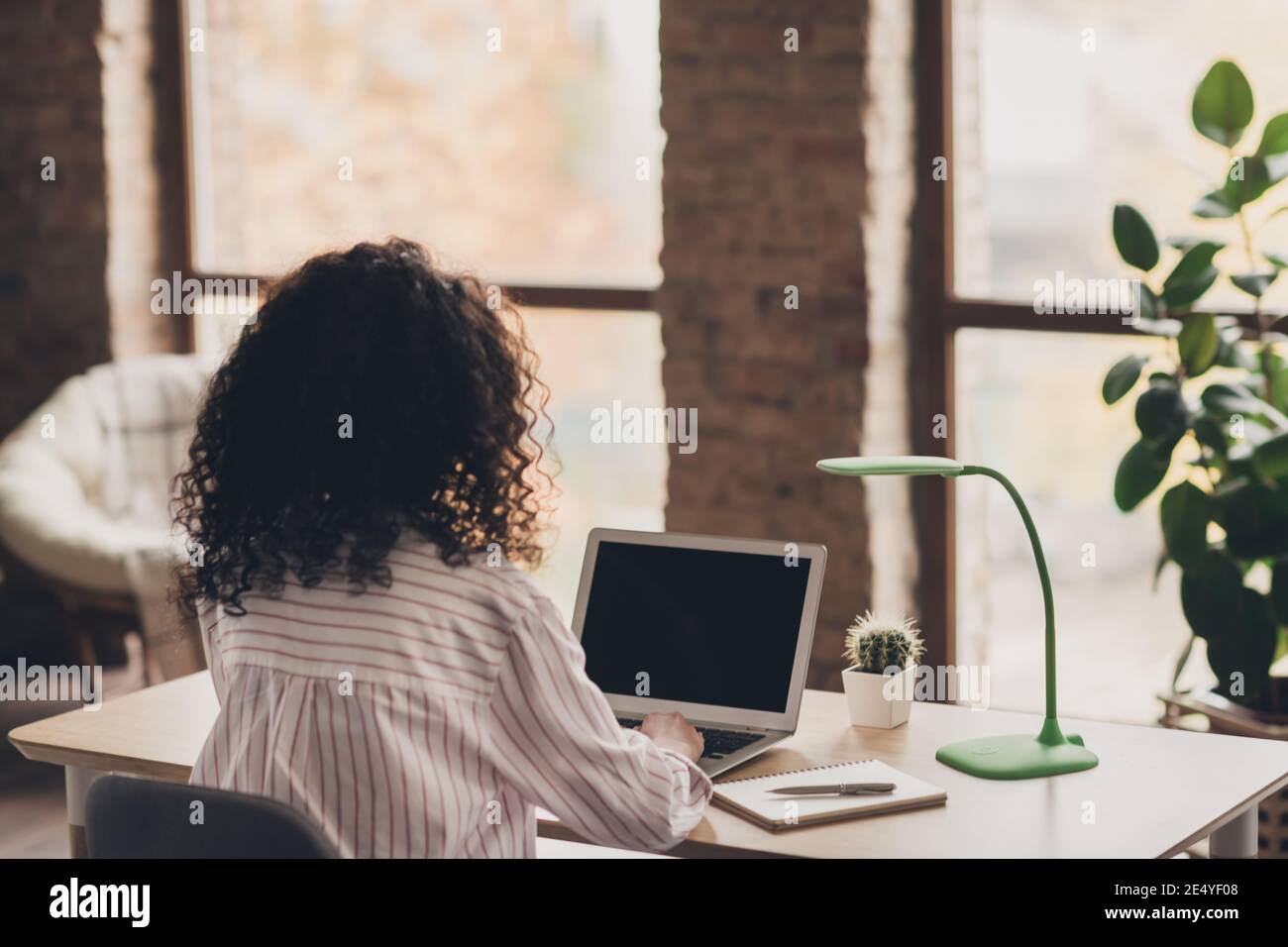 Photo portrait back rear spine view of girl working on laptop in ...