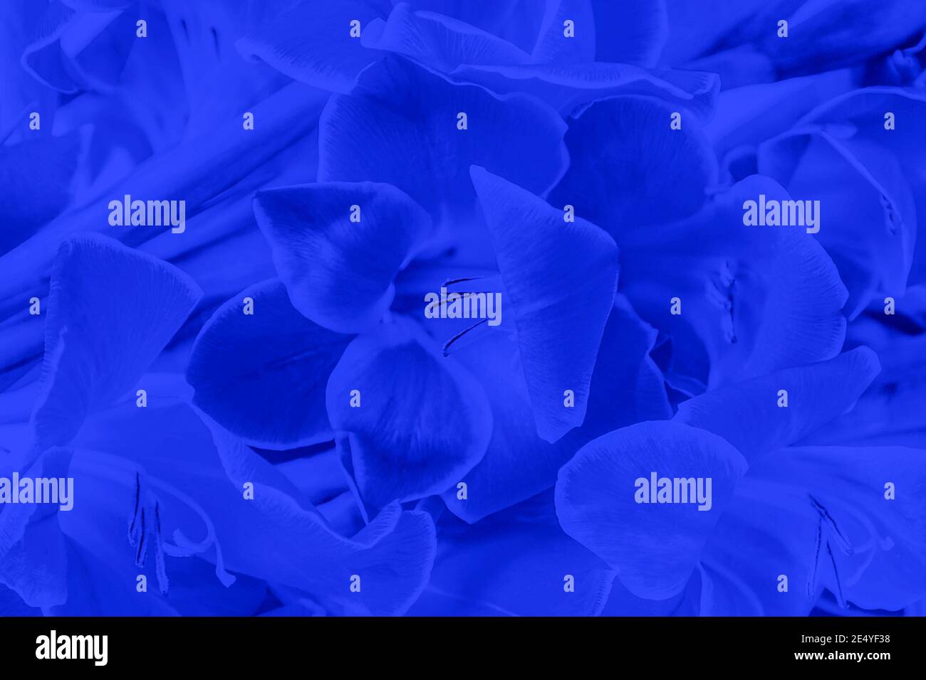 Deep blue color hi-res stock photography and images - Alamy