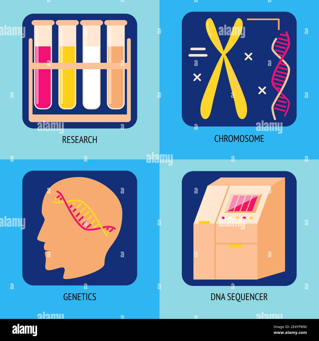 Genetic research icons in flat style. DNA test, chromosome and genome ...