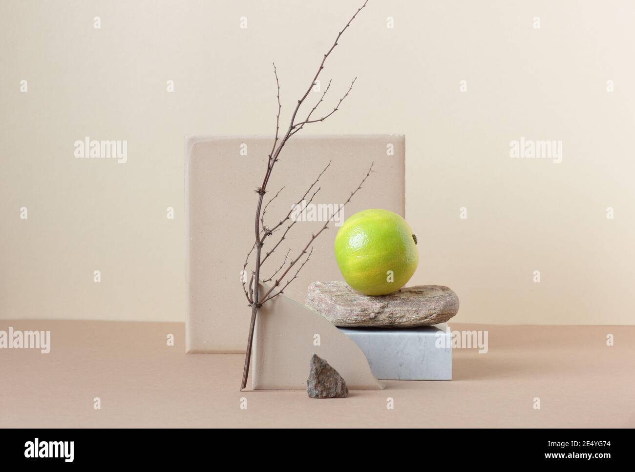 Minimalist still life composition with lemon and natural nature ...