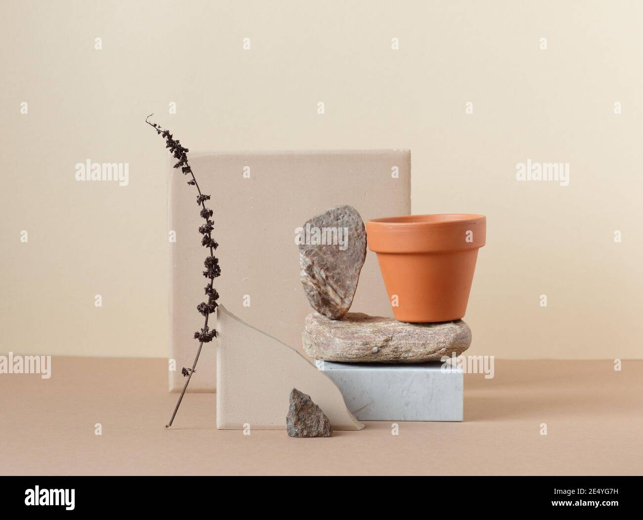 Minimalist still life composition with flower pot and natural nature ...