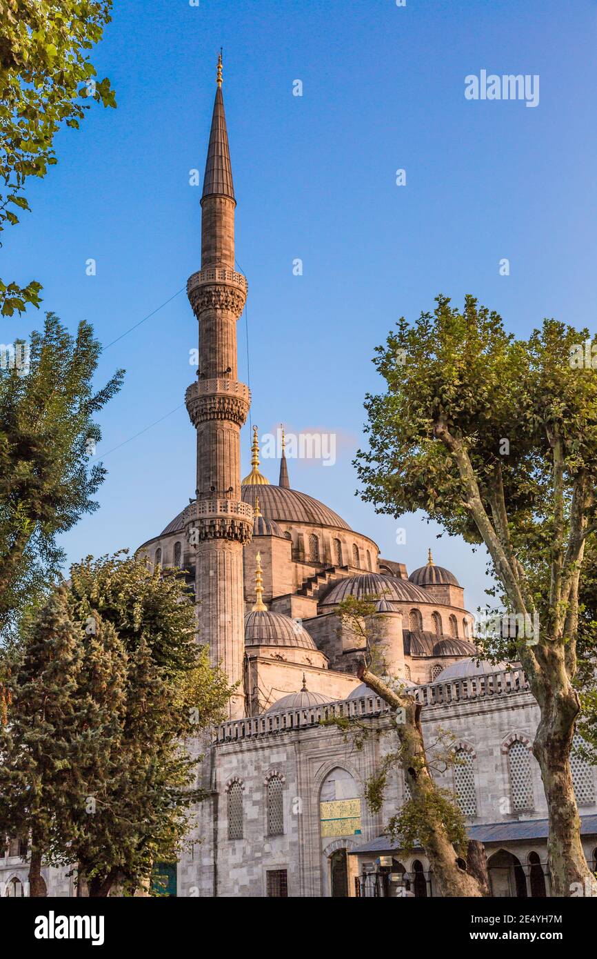 Blue mosque in Istanbul Turkey - architecture religion background Stock ...