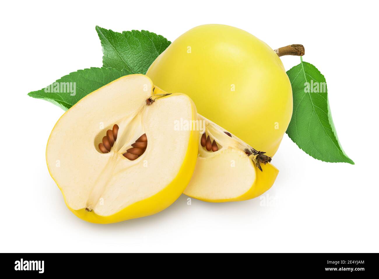 Fresh cut quince isolated on the white background with clipping path ...