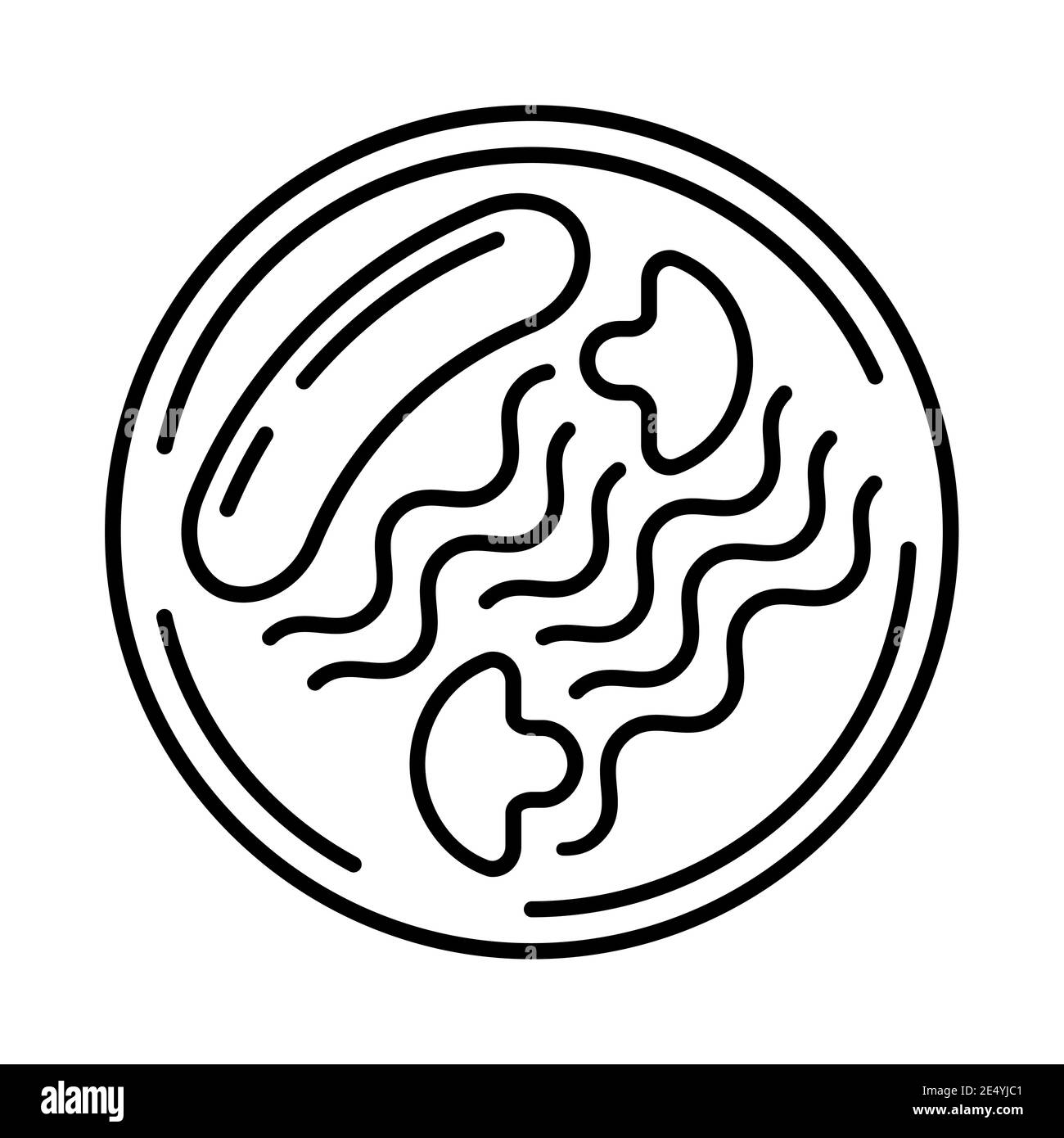 Main course menu icon vector. Sausages with pasta and mushrooms on a ...