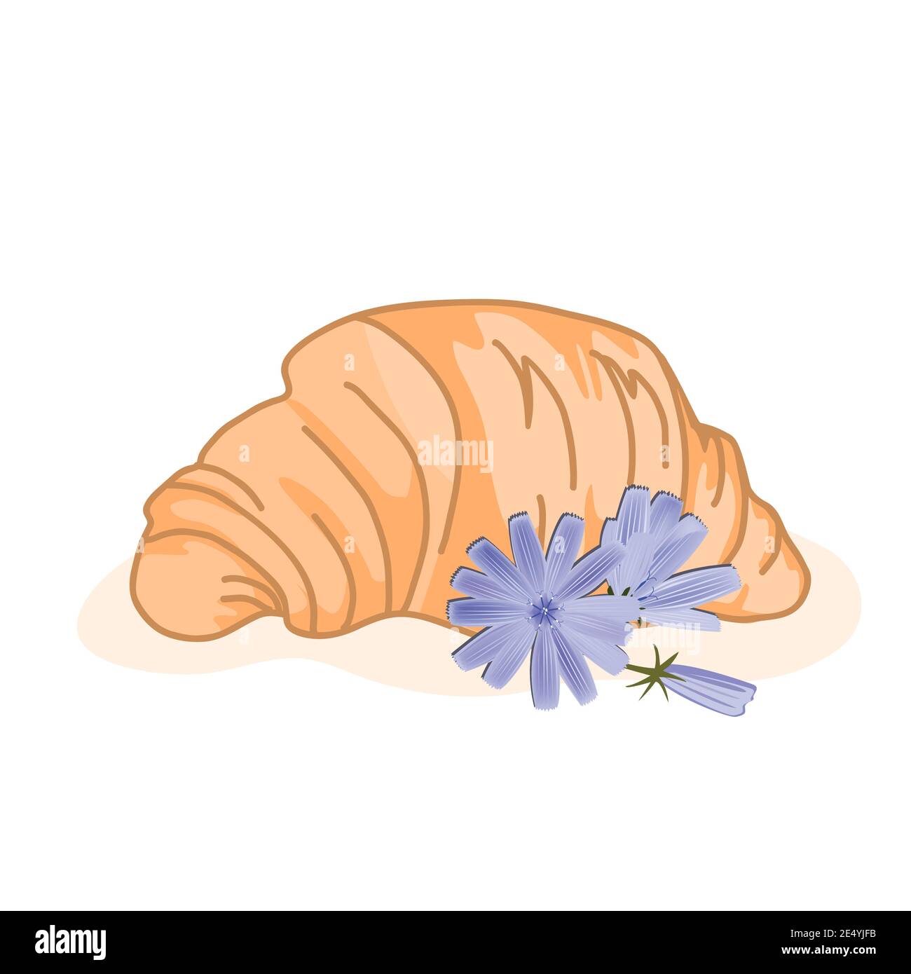 Delicious baked croissant and cute chicory flowers isolated on a white ...