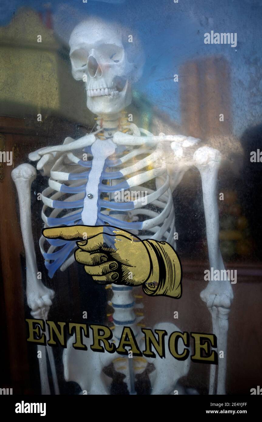 A skeleton in the window of a junk shop in Brighton Stock Photo - Alamy