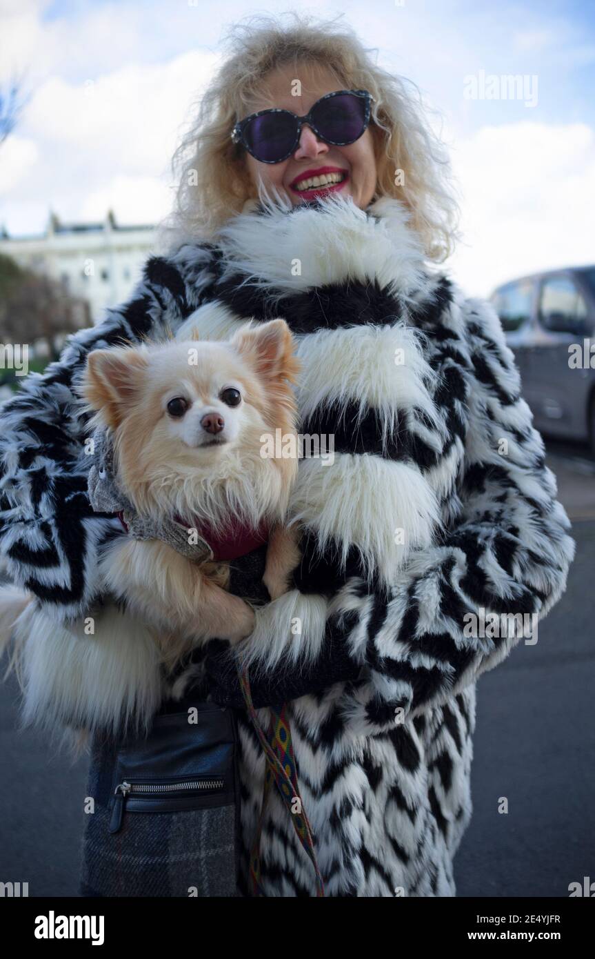 A dog is held by its fur clad owner in Brighton Stock Photo - Alamy