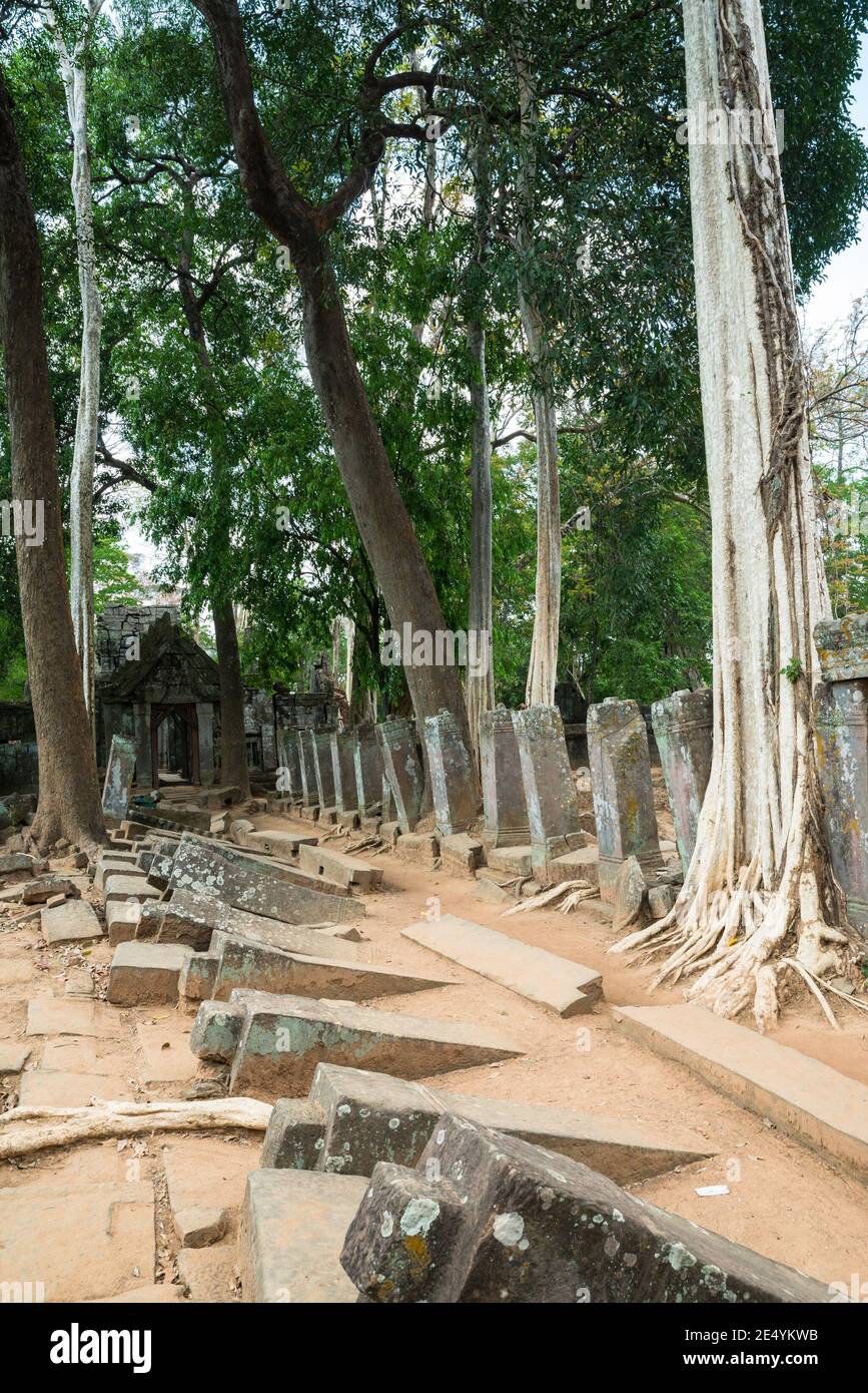 Prasat Thom of Koh Ker temple site, Preah Vihear Region, Cambodia, Asia ...