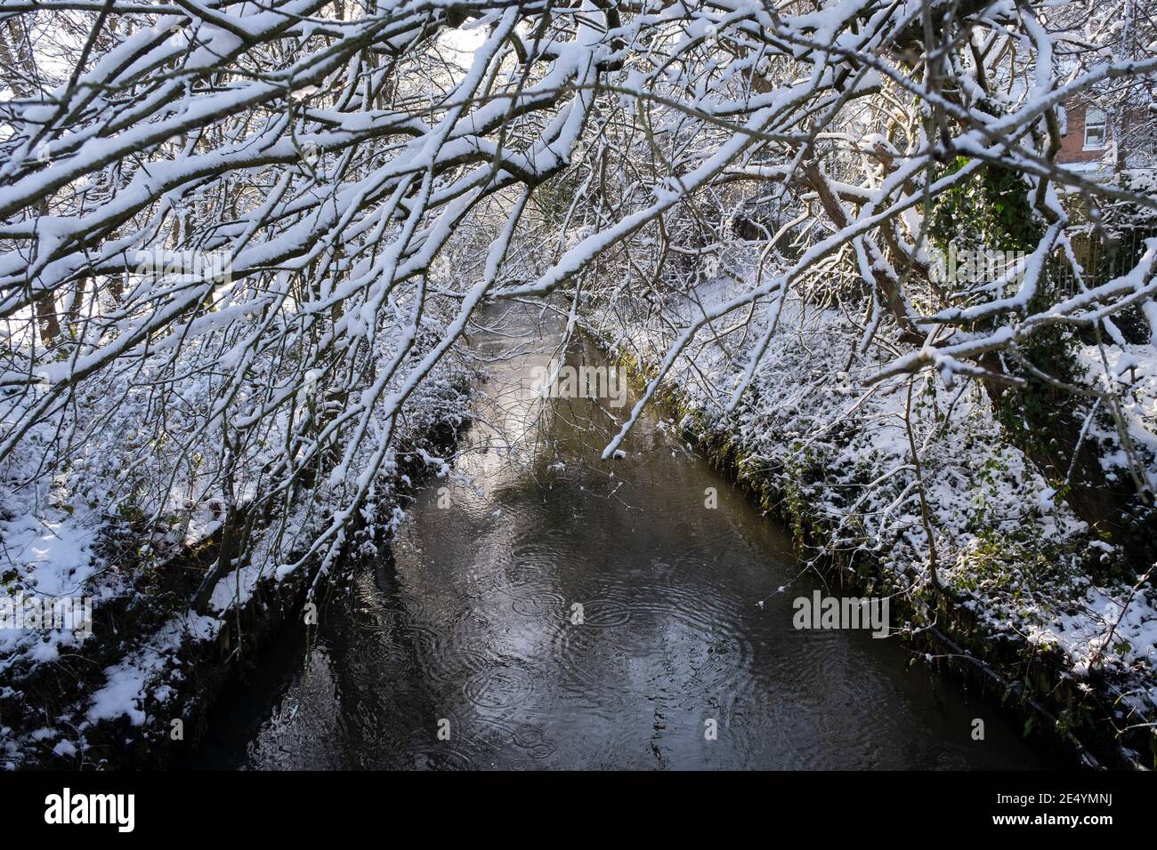 Winter scene in the snow on the River Rea in Canon Hill Park in Moor ...