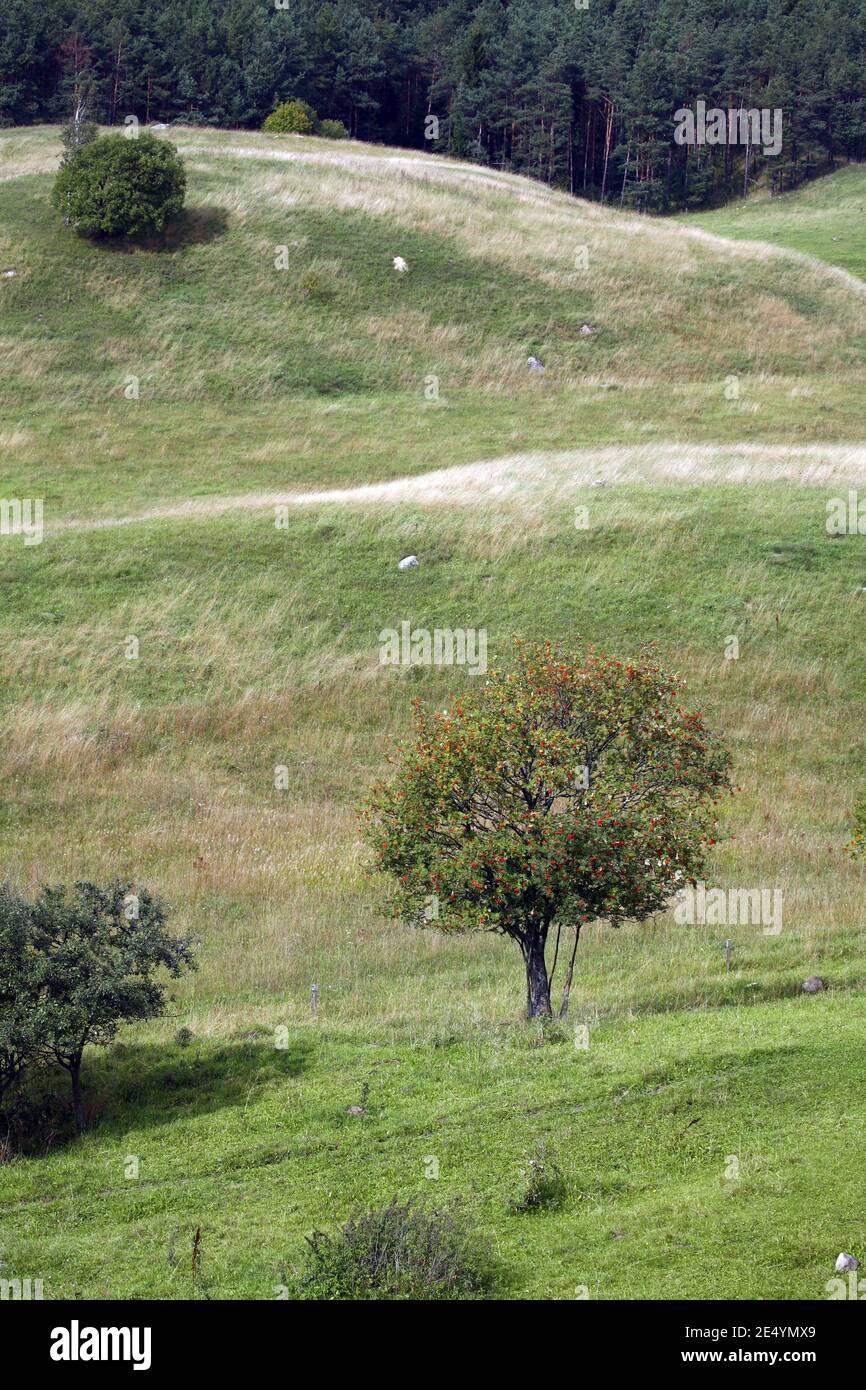 Suwalki region hi-res stock photography and images - Alamy