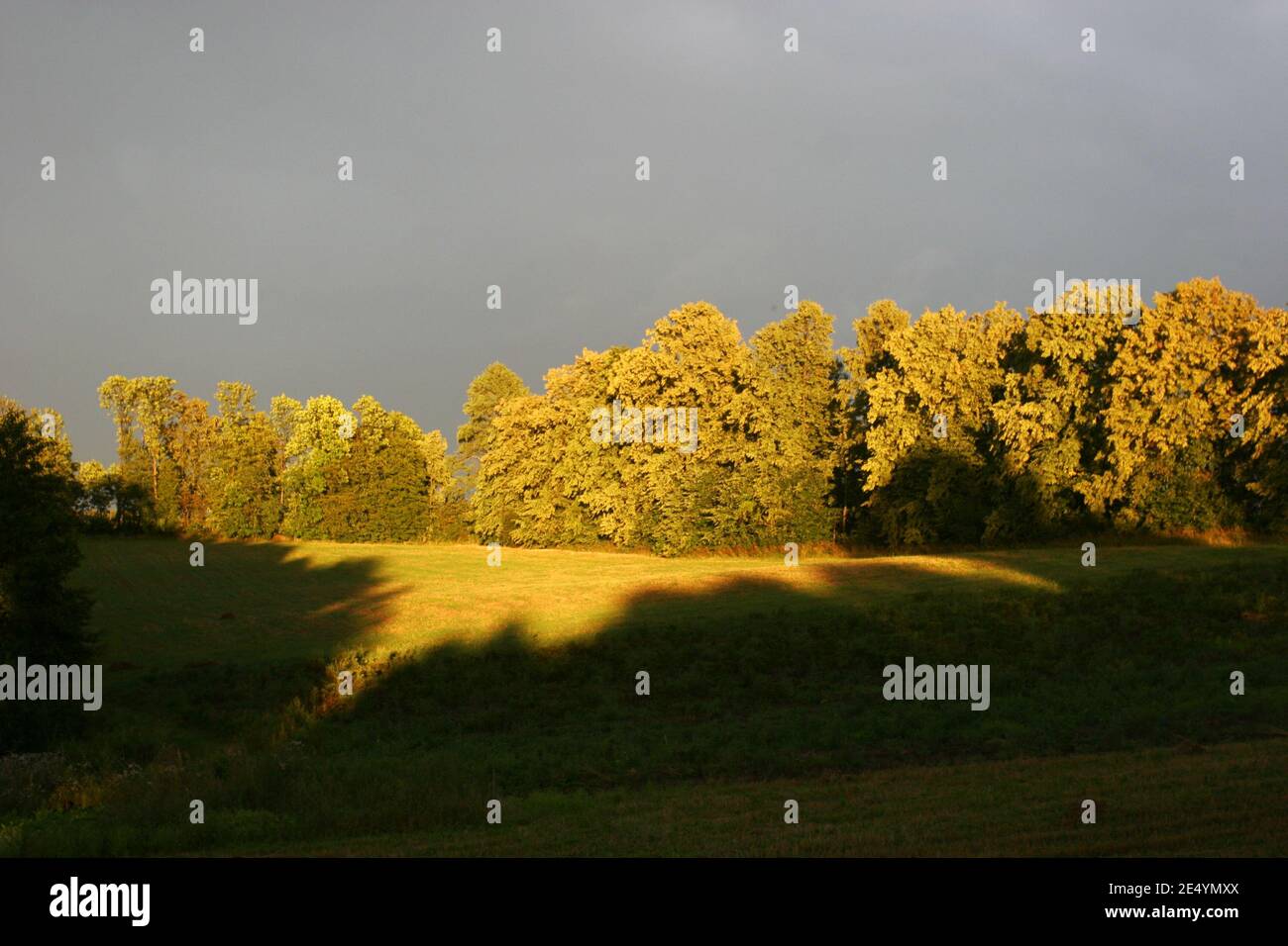 Poland fields hi-res stock photography and images - Alamy