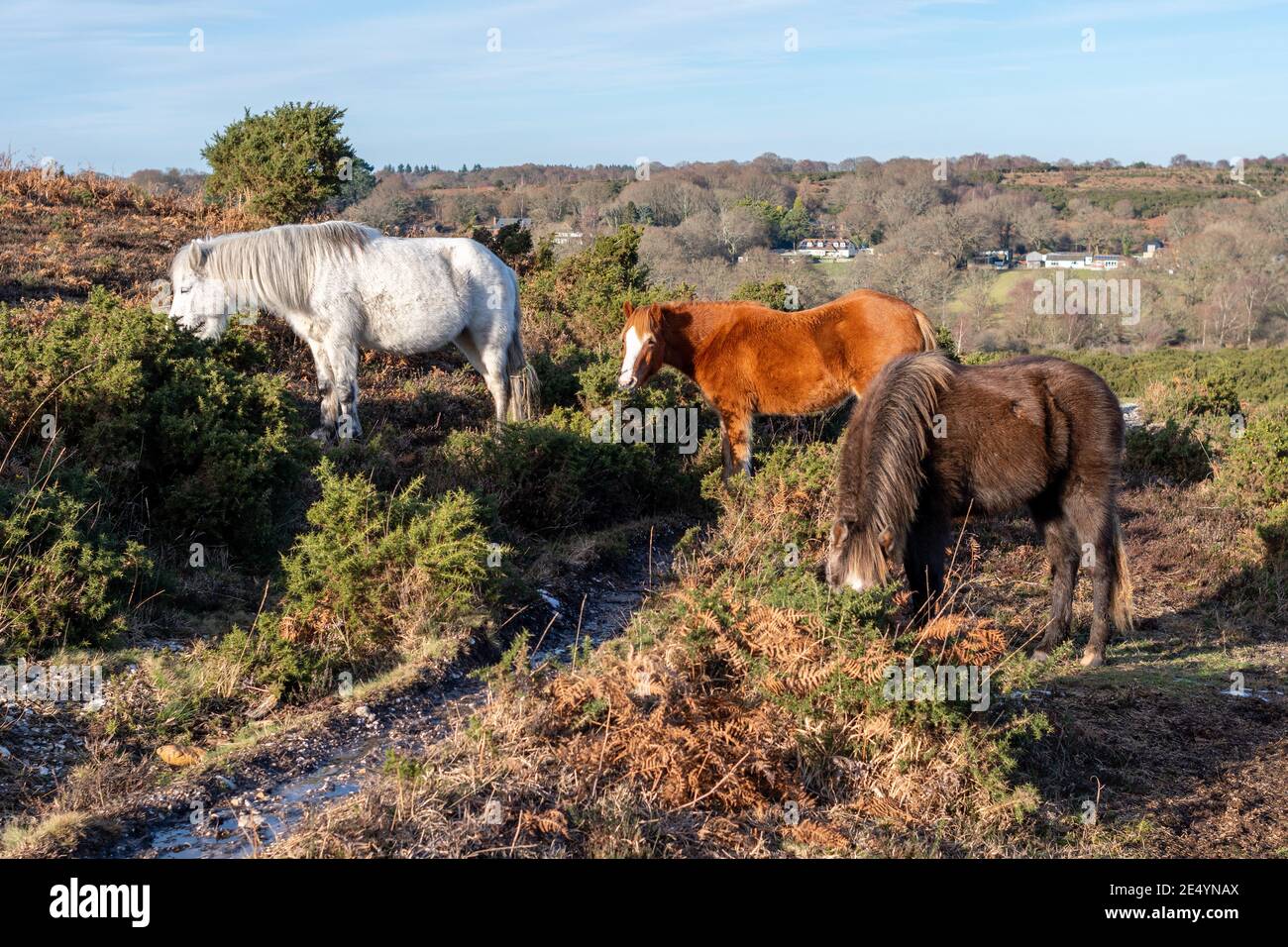 Different colours hi-res stock photography and images - Alamy