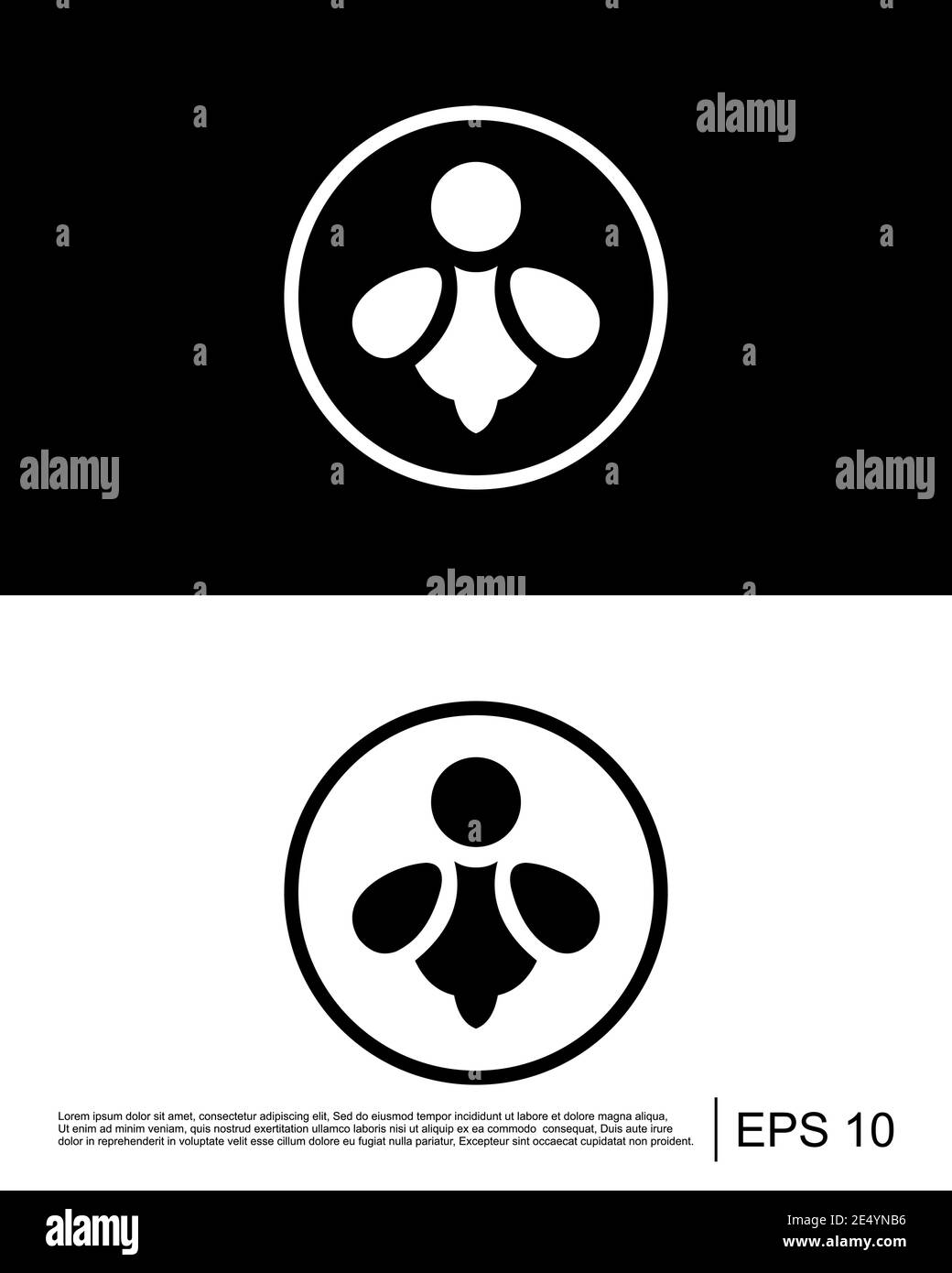 Striped wasp Black and White Stock Photos & Images - Alamy