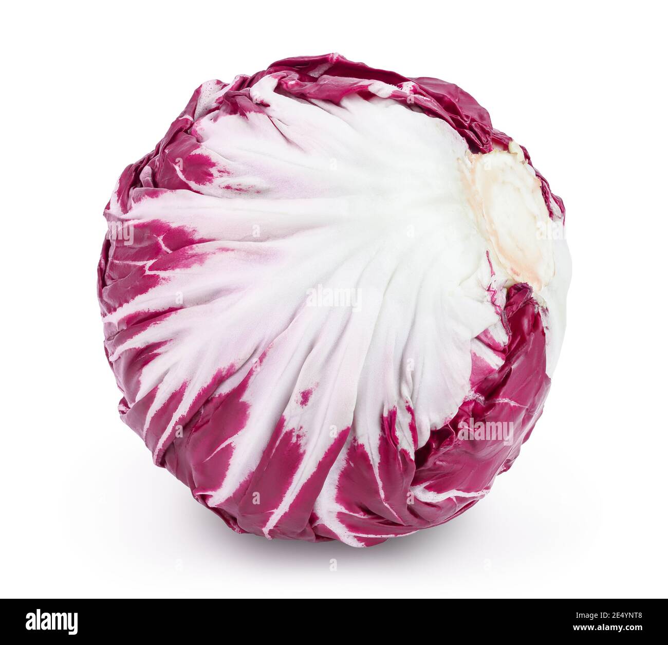 Fresh red radicchio salad isolated on white background with clipping ...