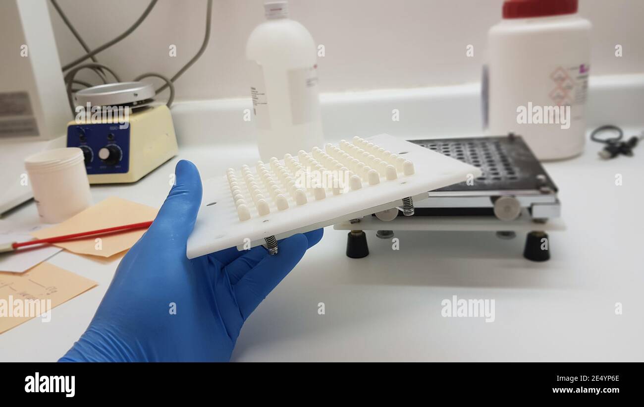 Scientist making capsules with powder medicine in the pharmacy ...
