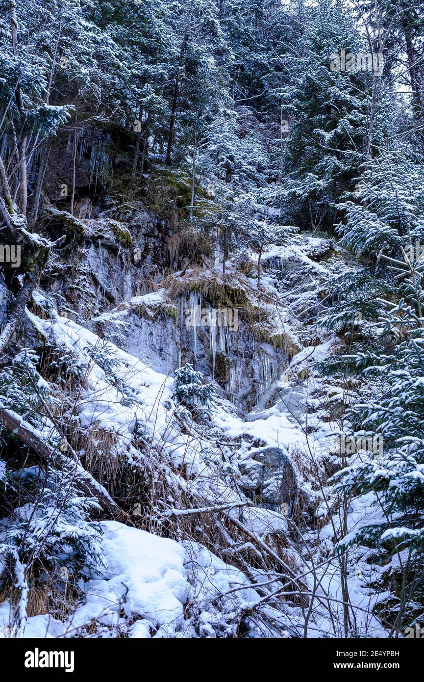 frozen brook in the mountain - In this icy mountain in Poland, a stream ...