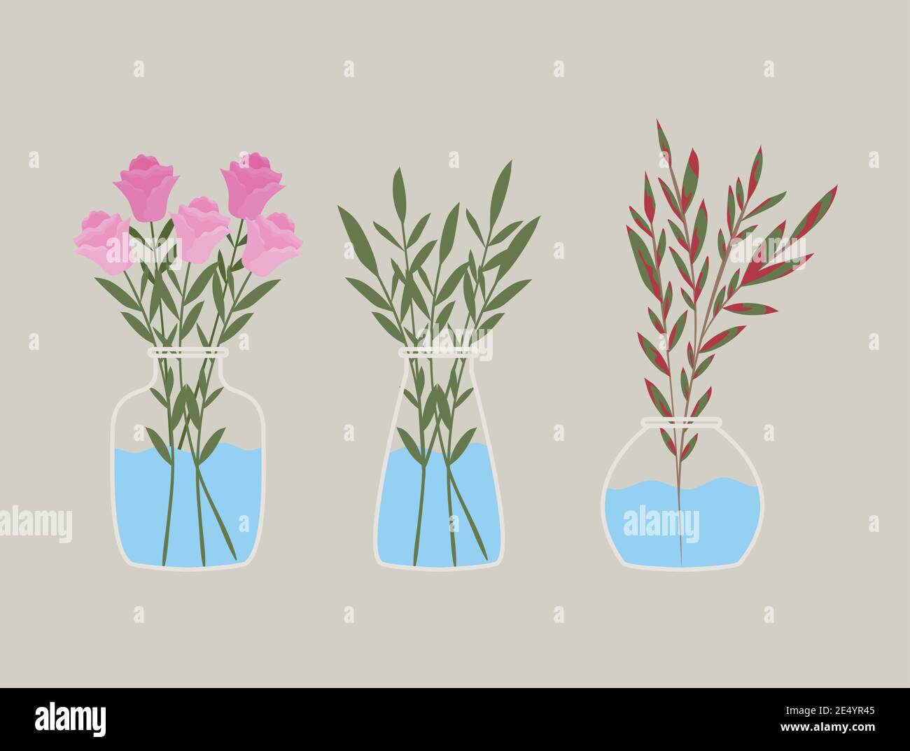 set of three plants inside a pots Stock Vector Image & Art - Alamy