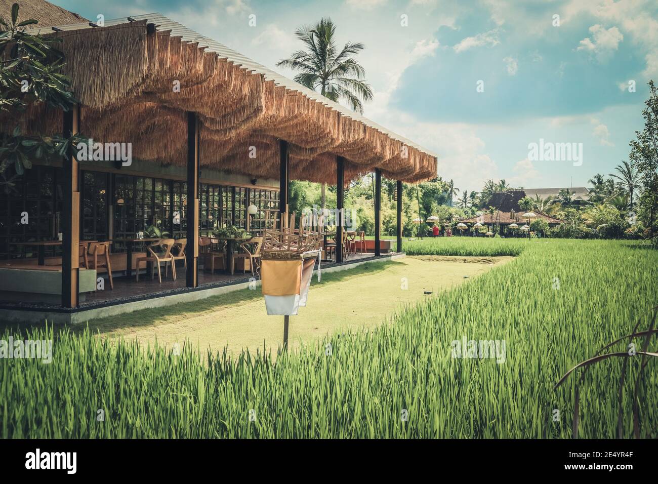Empty cafe on Bali island with rice field vew at the morning Stock ...