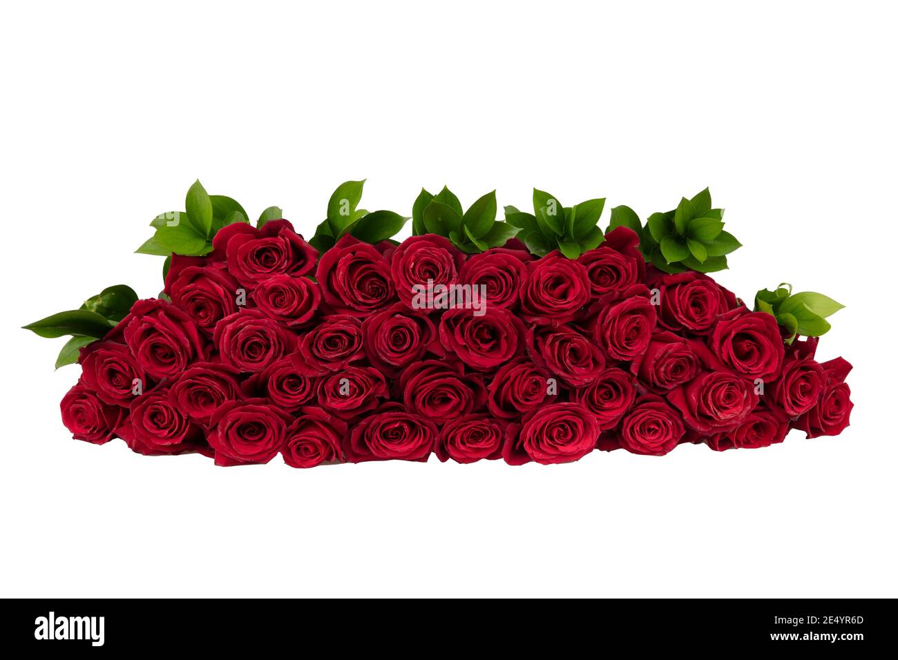 Red roses background. Many red roses, a huge bouquet of roses. Bouquet ...