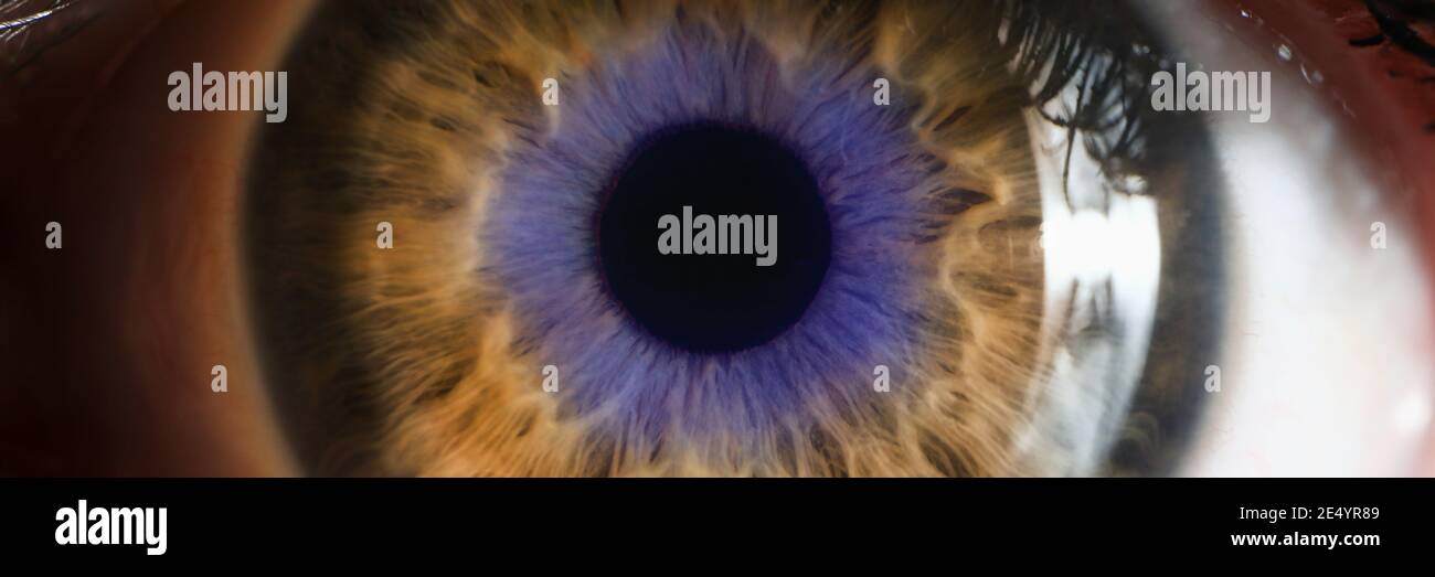 Close up shot of a human eye Stock Photo - Alamy