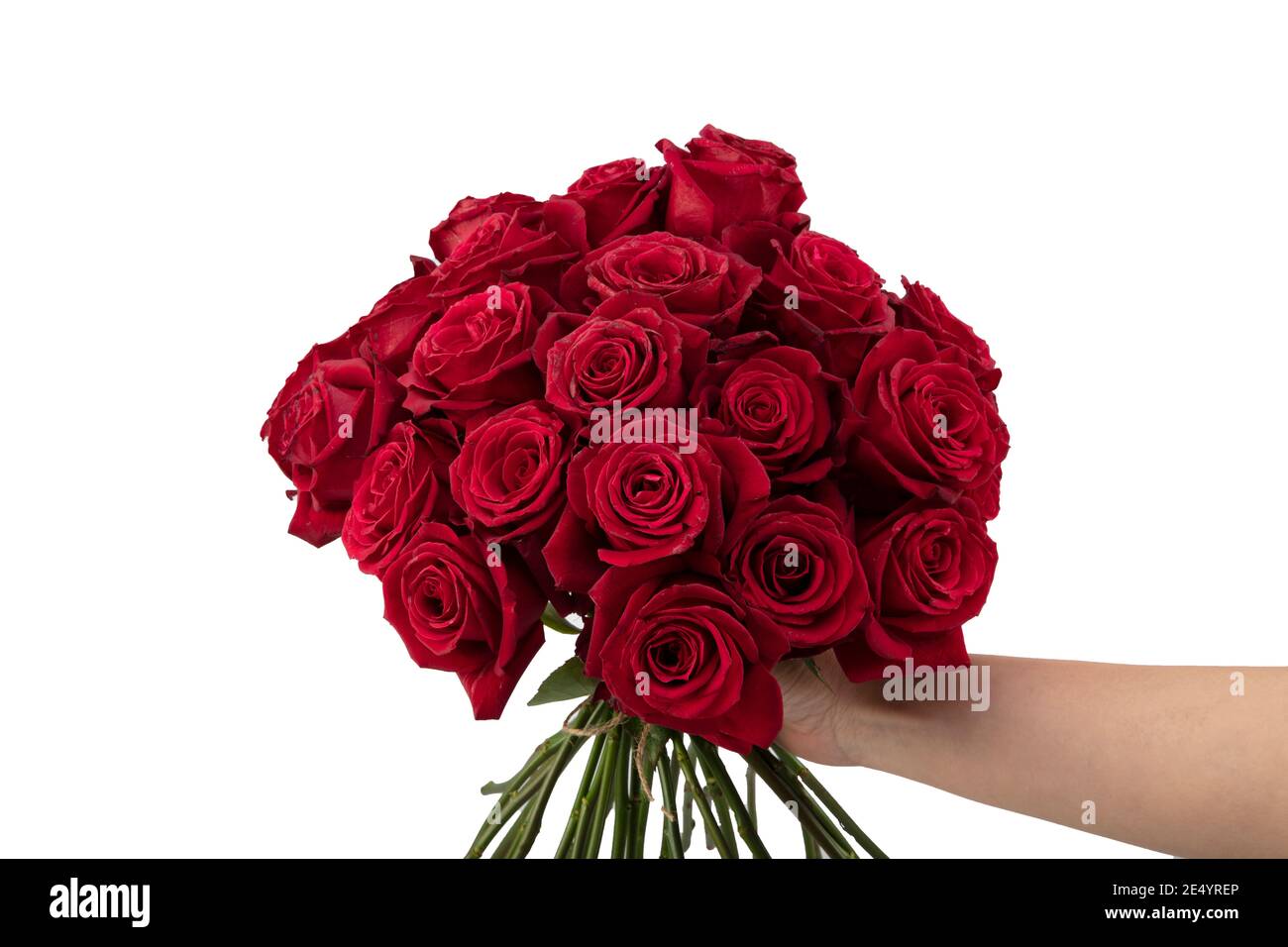 Red roses background. Many red roses, a huge bouquet of roses. Bouquet ...
