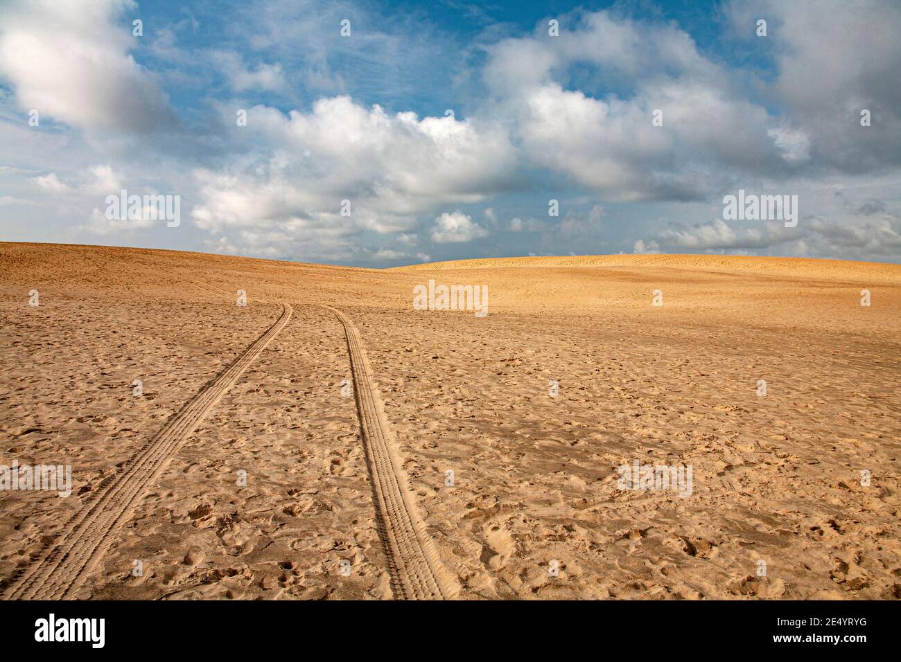Jockeys Ridge State Park, OBX, NC, Outer Banks Stock Photo - Alamy