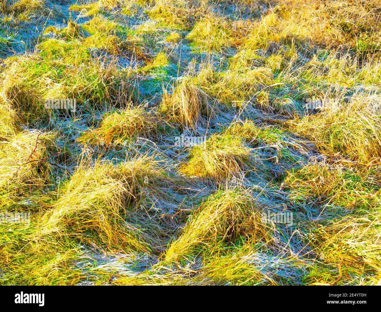 Coatham hi-res stock photography and images - Alamy