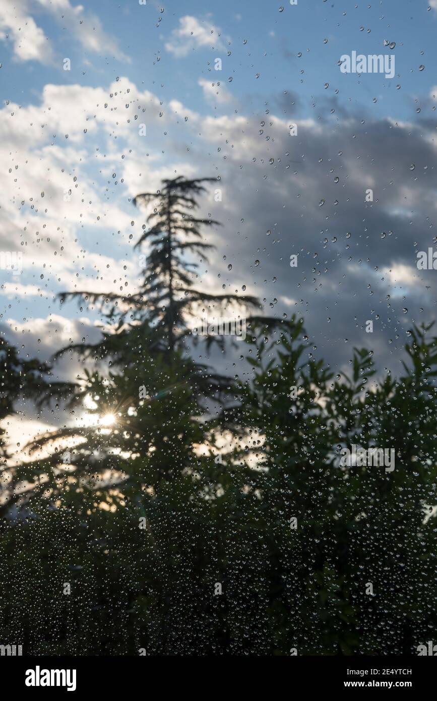 Spring from the house window Stock Photo - Alamy