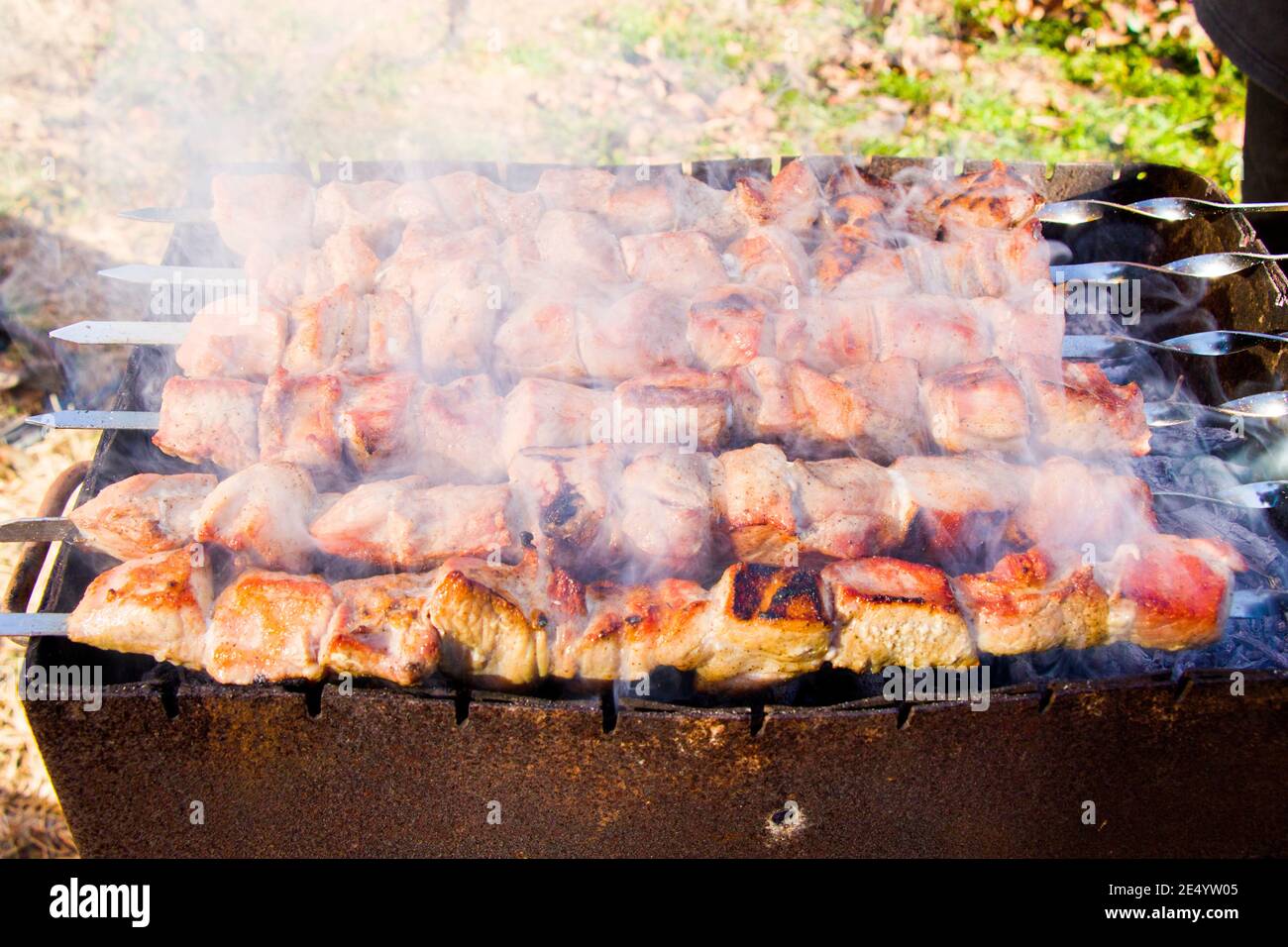 Georgian traditional dish, Mtsvadi on the fire, raw meal on the grill ...