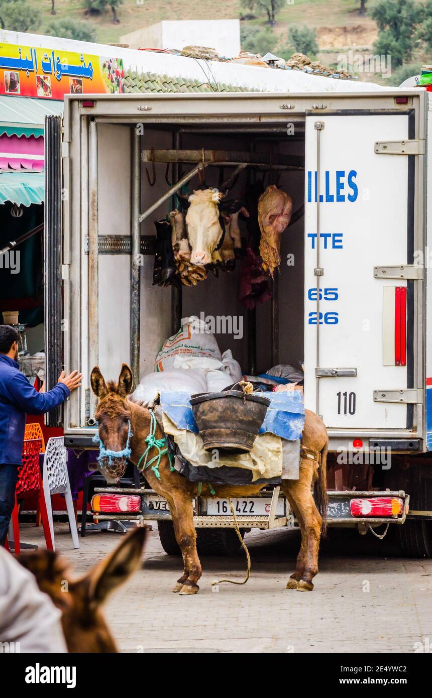 Donkey and car hi-res stock photography and images - Alamy