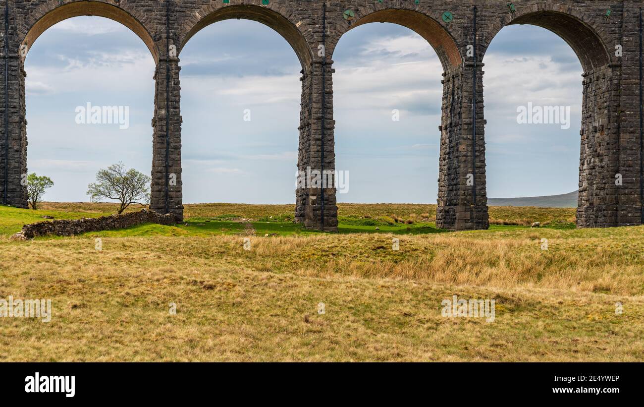The Ribblehead Viaduct near Ingleton, North Yorkshire, England, UK ...