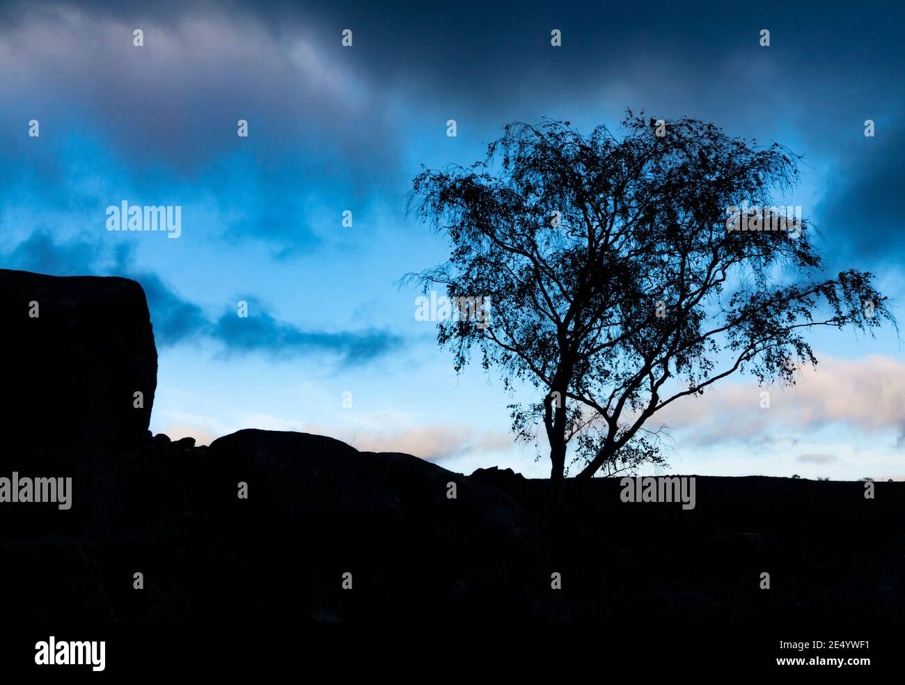 Silhouette of tree against a stormy dark sunset on Gardom's Edge near ...