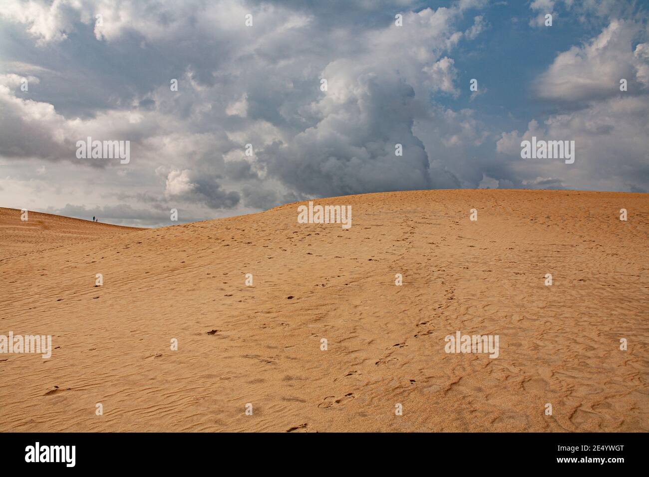Jockeys Ridge State Park, OBX, NC, Outer Banks Stock Photo - Alamy