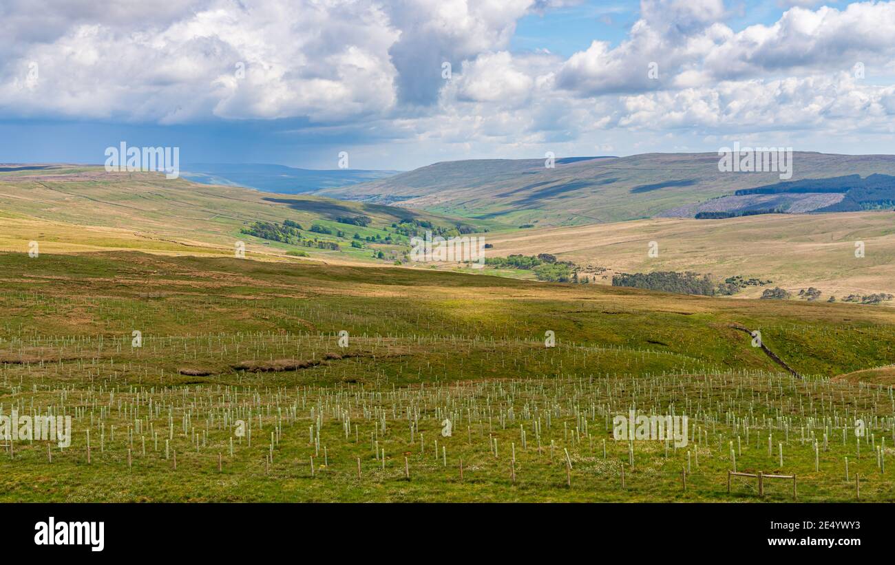 A cloudy day in the Yorkshire Dales near Oughtershaw, North Yorkshire ...
