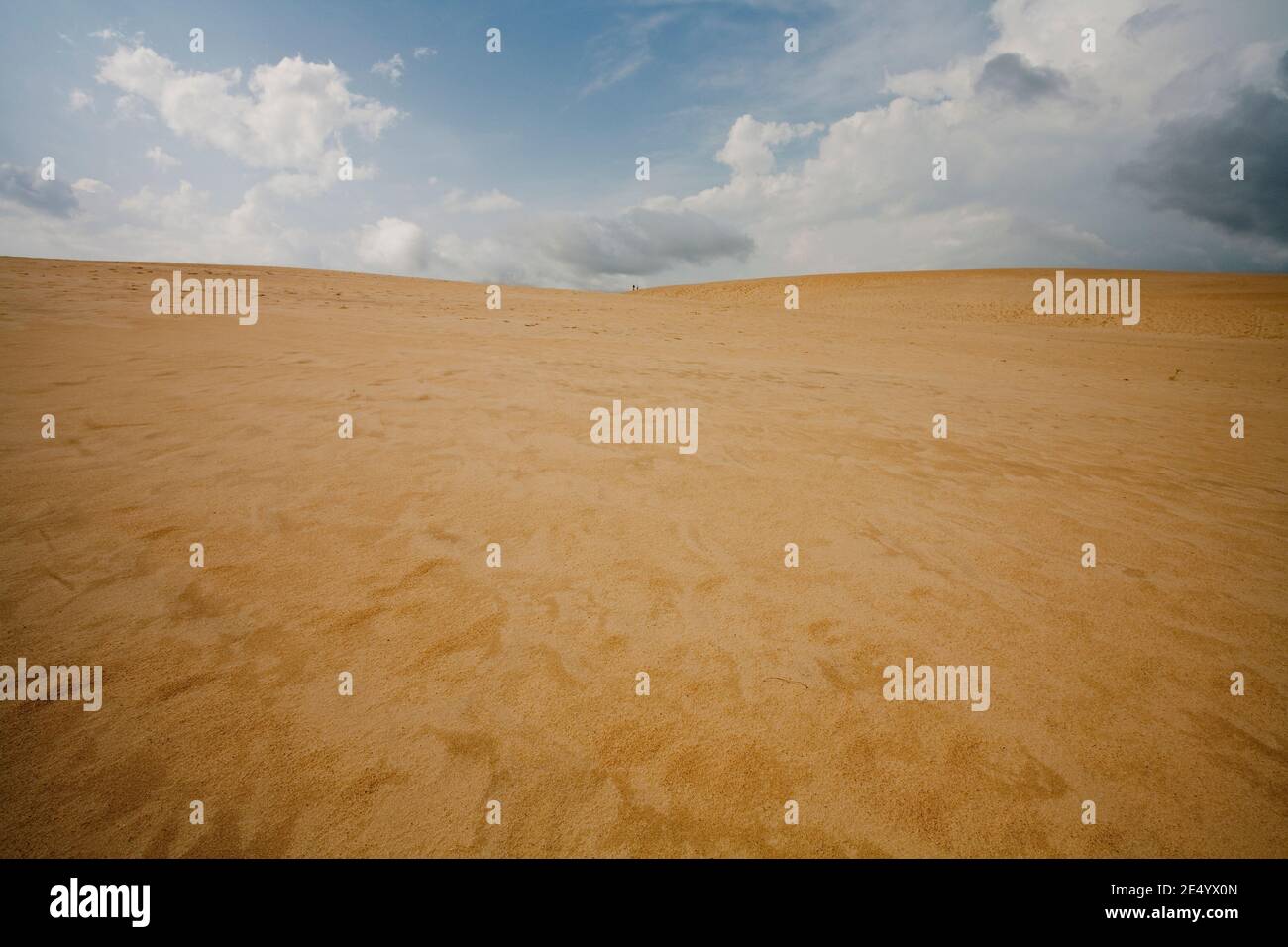 Jockeys Ridge State Park, OBX, NC, Outer Banks Stock Photo - Alamy