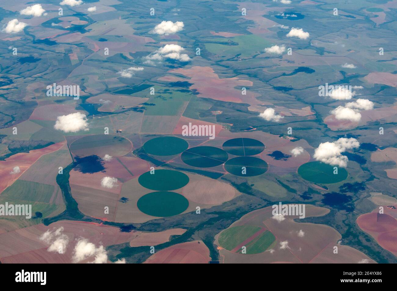 Brazil soy production deforestation hi-res stock photography and images ...