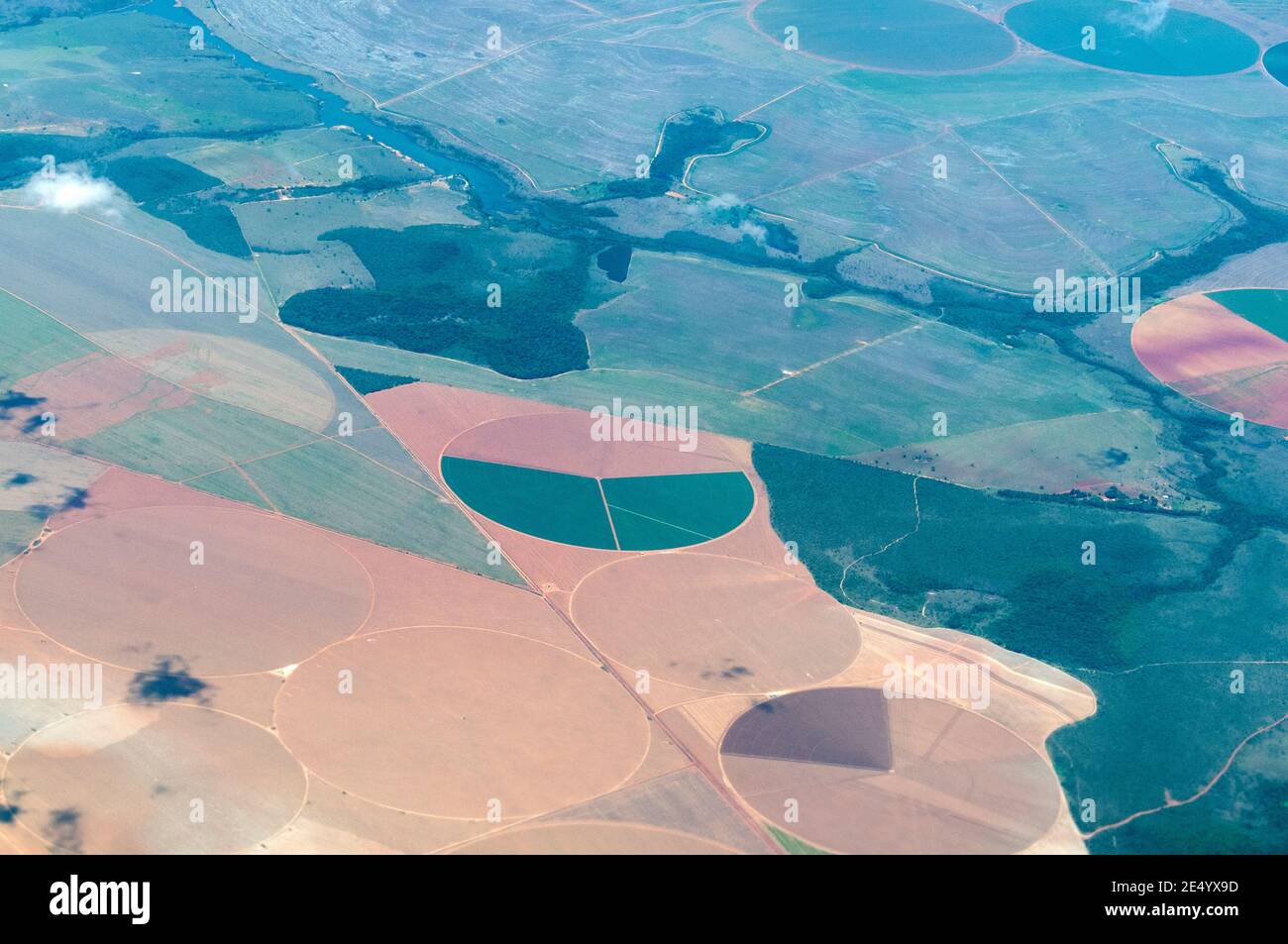 Amazon rainforest food production hi-res stock photography and images ...