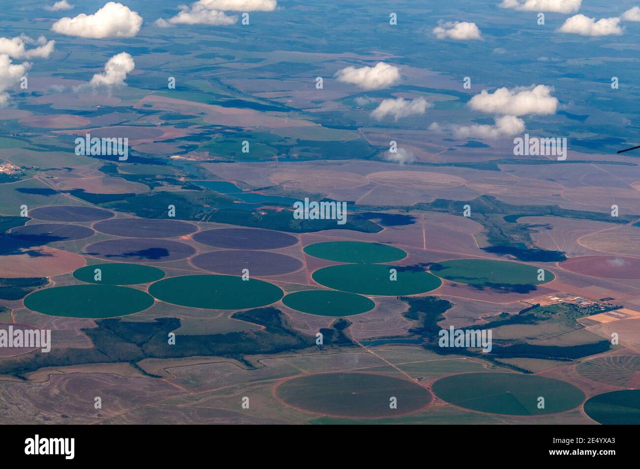 Amazon rainforest food production hi-res stock photography and images ...