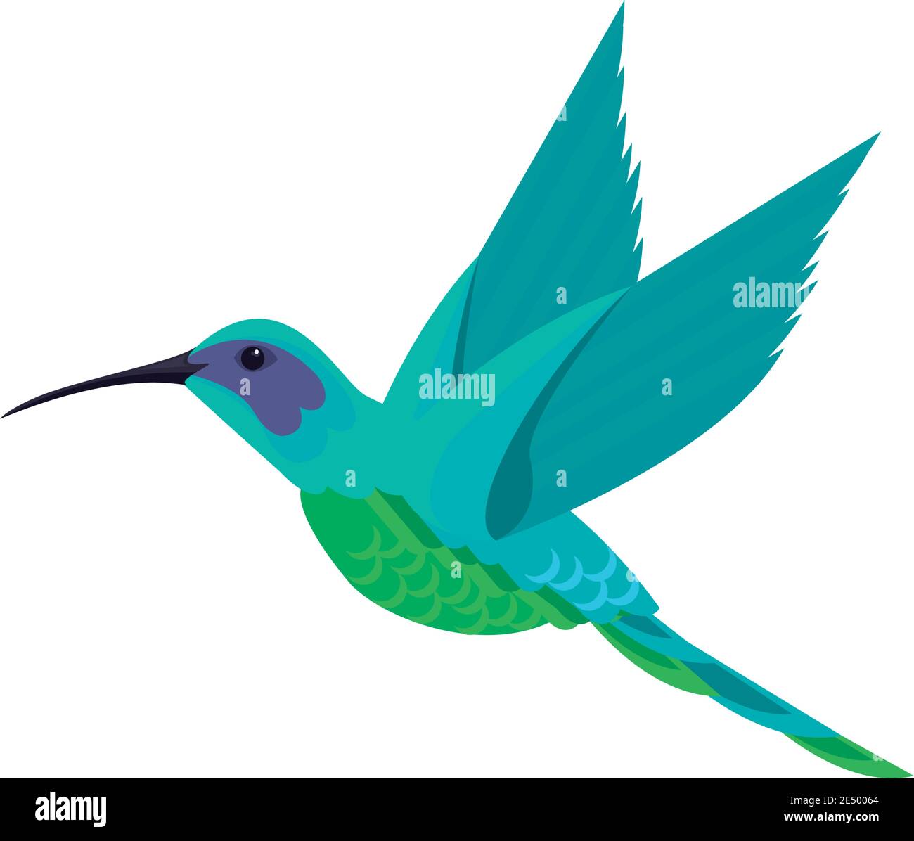 cute hummingbird flying animal nature icon vector illustration design ...