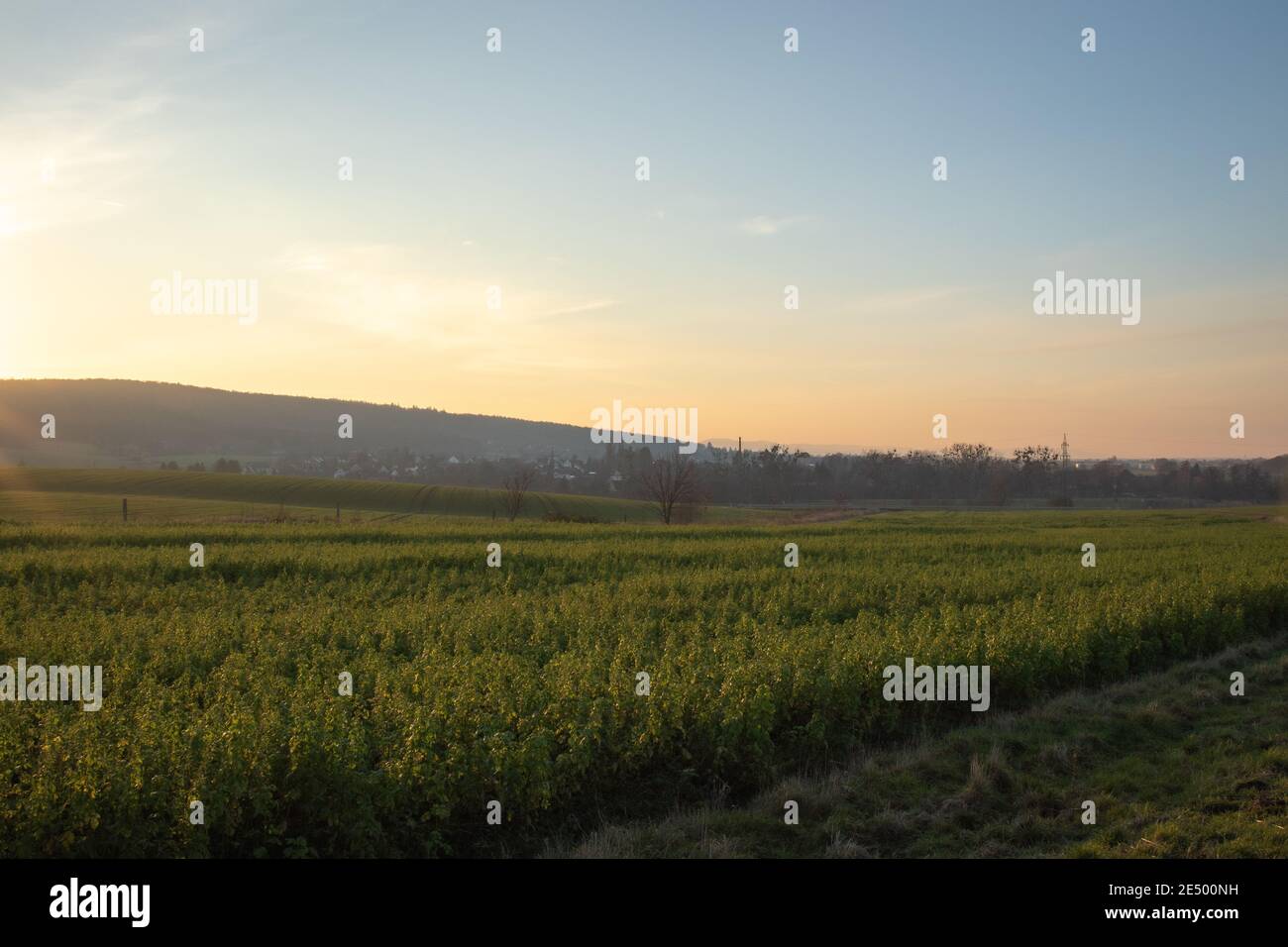 Frontlight hi-res stock photography and images - Alamy