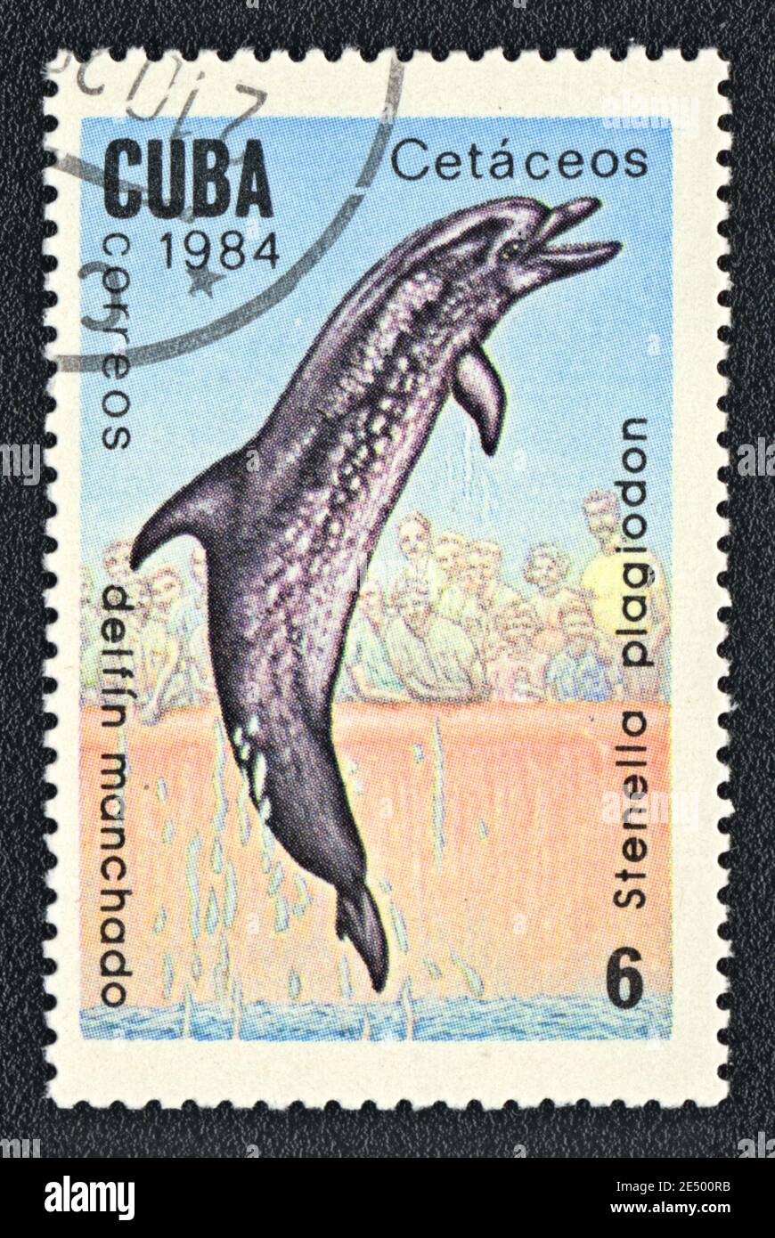 Stamp printed in Cuba shows a Stenella plaglodon, series "Sea mammals ...