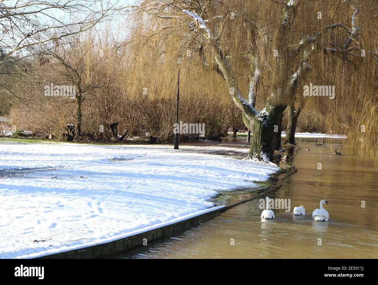 Rugby showers hi-res stock photography and images - Alamy