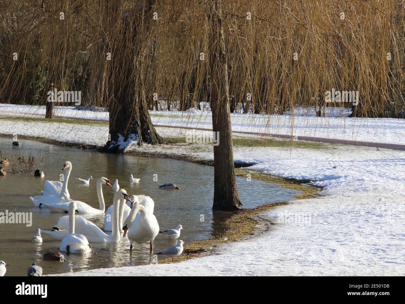 Rugby showers hi-res stock photography and images - Alamy