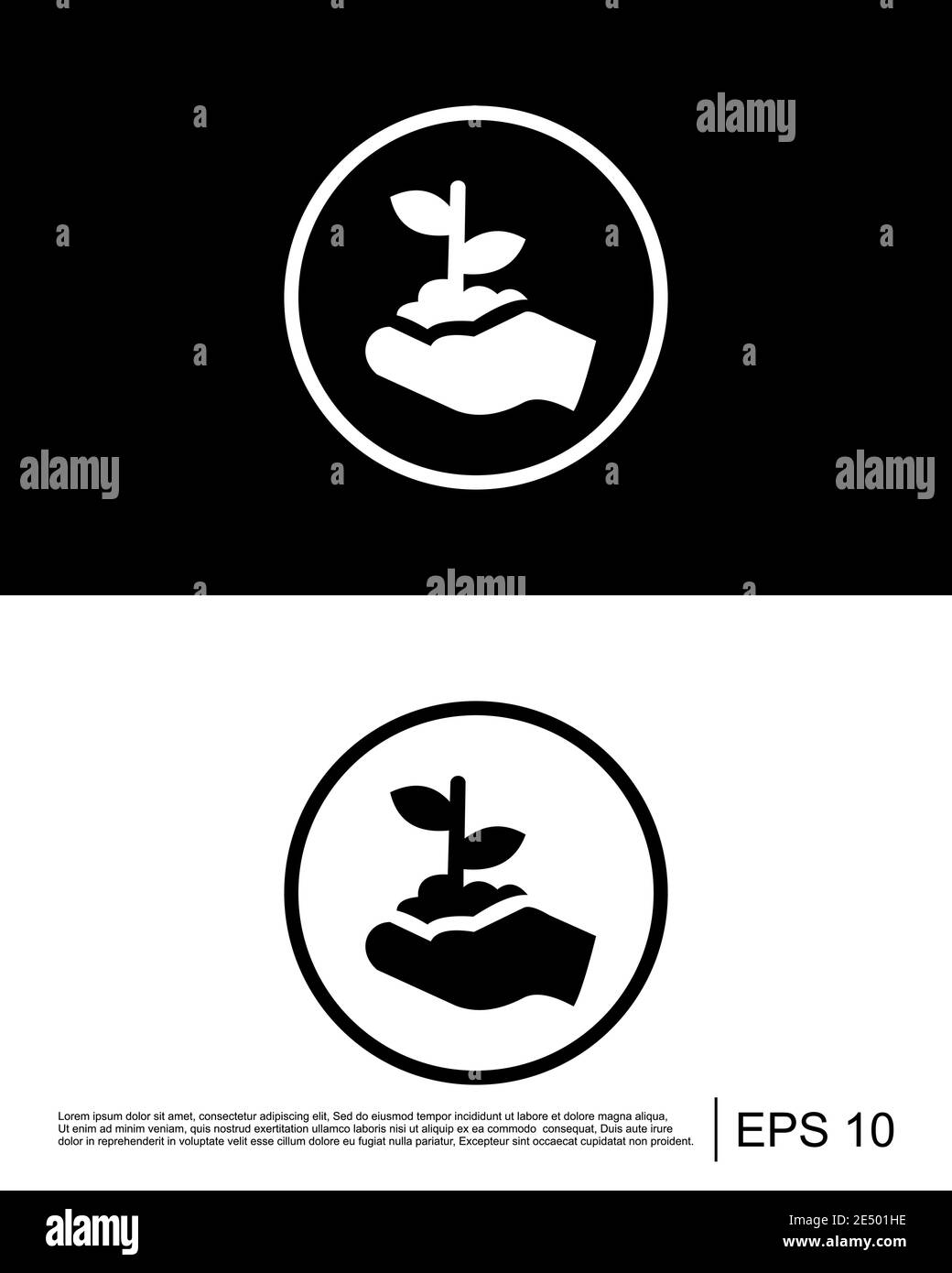 Growing plant, seed grow, seedling, sprouting plant, sprouts icon Stock ...