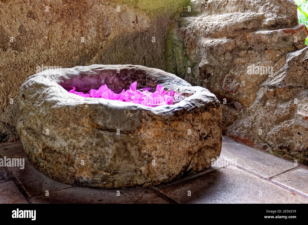 Stone Church Holy Water Stoup with pink flowers in Stock Photo - Alamy