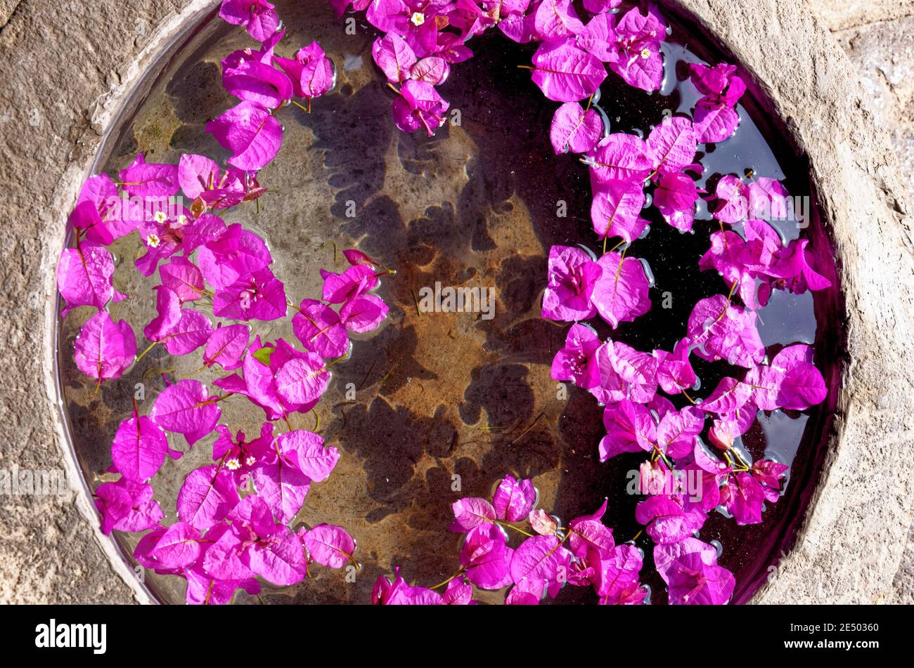Stone Church Holy Water Stoup with pink flowers in Stock Photo - Alamy