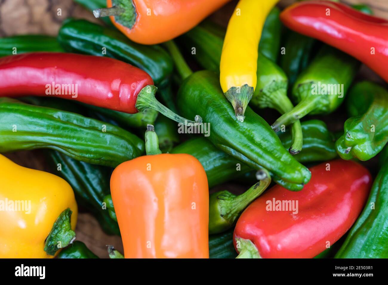 Pimentos de Padron spanish pepper Stock Photo - Alamy